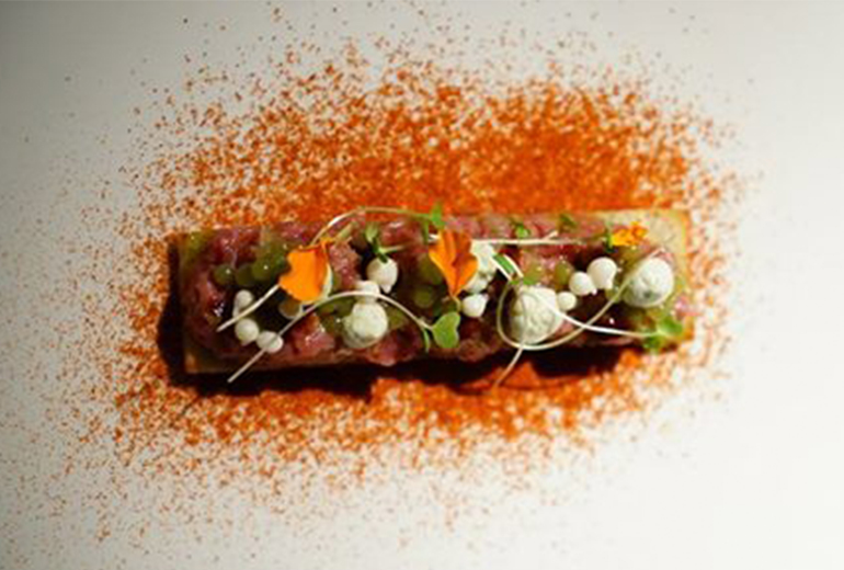 Raw Llama Extraordinaire - Exploring Wine Regions