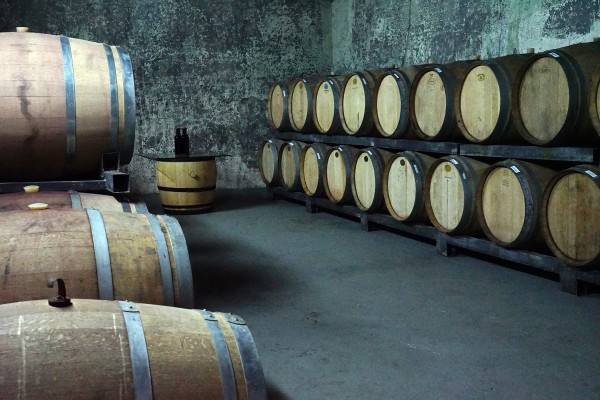 Wine Cellar Corner - Exploring Wine Regions