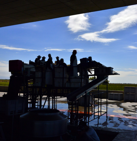 O. Fournier is an architectural masterpiece… - Exploring Wine Regions