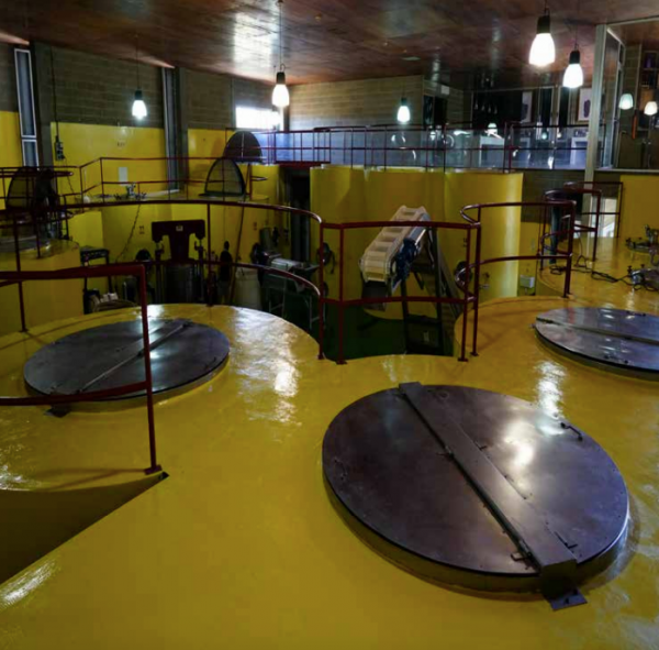 Brand-new and innovative winery - Exploring Wine Regions